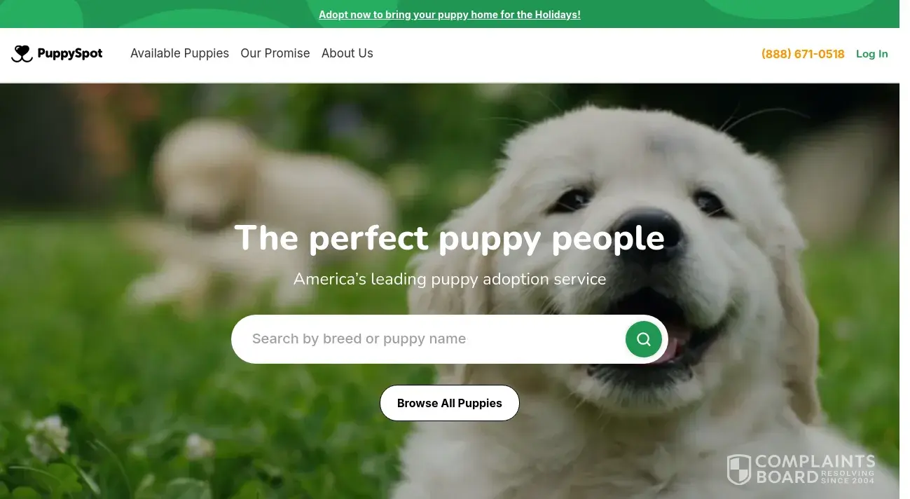 PuppySpot Group: Reviews, Complaints, Customer Claims | ComplaintsBoard
